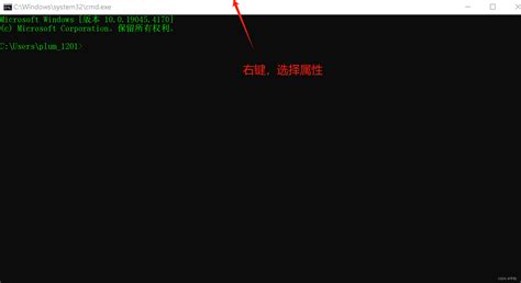 cmd窗口 解决无法复制粘贴文字的办法 cmd命令窗口不能粘贴 csdn博客