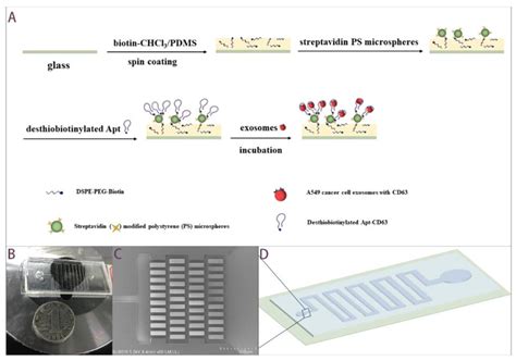 Target Specific Exosome Isolation Through Aptamer Based Microfluidics