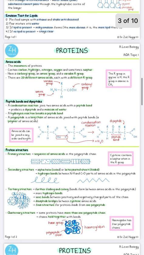 Top Revision Notes Ideas And Inspiration