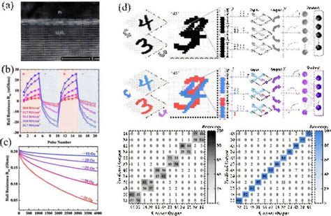 Antiferromagnetic Neuromorphic Memory New Spintronic Device Achieves