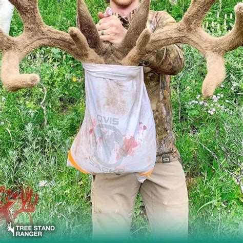 Best Game Bags 2024 Deer And Elk Hunting Meat Quarter Packs