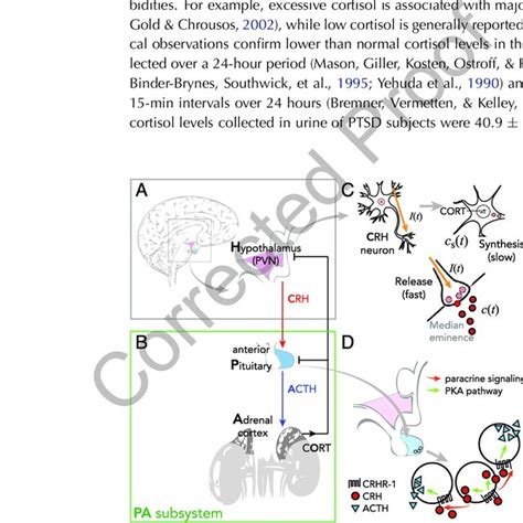 Schematic Of The HPA Axis A Stress Is Processed In The Central Download Scientific Diagram