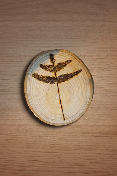 Wood Burning Class Confetti 🎉