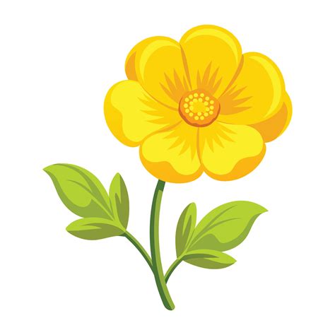 Illustration Of Buttercup On White 42681775 Vector Art At Vecteezy