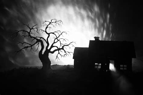 유령 나무와 밤에 유령 또는 빛 톤된 안개 하늘에서 유령의 공포 집 버려진 오래 된 집 죽은 숲에서 오래 된 신비의 건물입니다 할로윈 개념입니다 건강관리와 의술에 대한 스톡