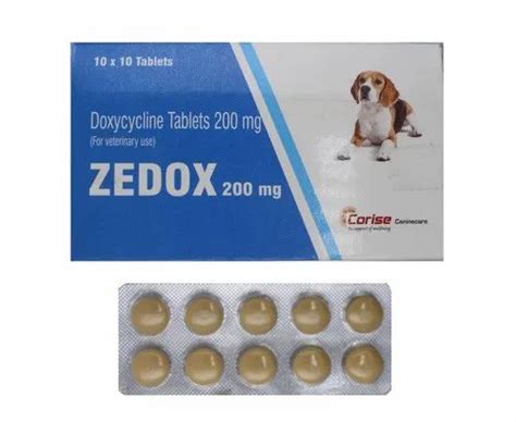 Tablet Zedox 200mg Tab For Clinical Packaging Type Strip At ₹ 180 Strip In Mumbai