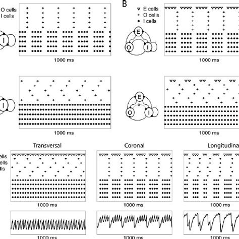 Nested Gamma And Theta Rhythms In Simple Hippocampal Network Models Download Scientific