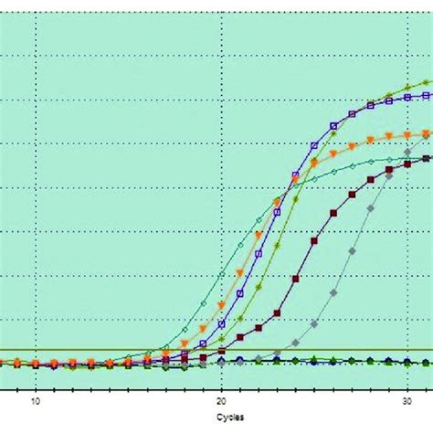 The Amplification Plots Of Real Time Polymerase Chain Reaction For