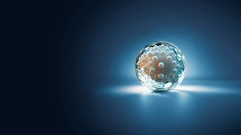 Exosomes In Cosmetics Proven Efficacy For Skincare Functionalab