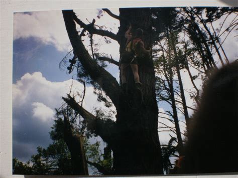 Cable Logging Yarder Pictures Picture Forum Arbtalk The Social