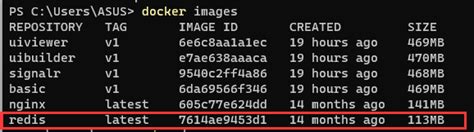 Docker 部署redis Session的专栏 Tnblog