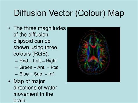 PPT DTI Basics Water Diffusion In MRI Imaging PowerPoint Presentation ID