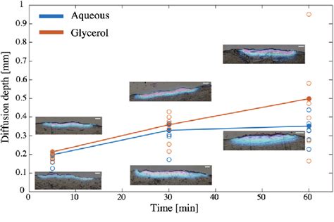 Diffusion After Topical Application Average Diffusion Depth After 5