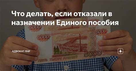 Что делать если отказали в назначении Единого пособия Адвокат ЛНР Дзен