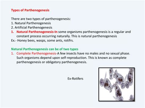 Parthenogenesis Natural Parthenogenesis Artificial Parthenogenesis Pptx