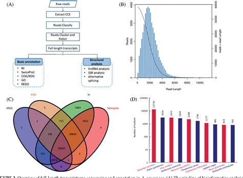 Figure 2 From Characterization Of Full Length Transcriptome And