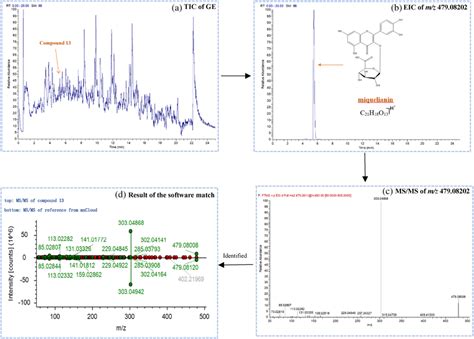 Screening And Identifying Flowchart Of Compound 13 By Compound