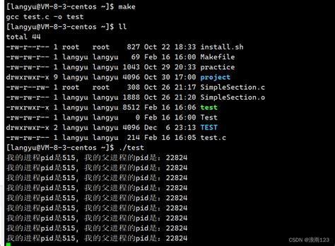 Linux系统编程1（进程概念详解）linux进程编程 Csdn博客
