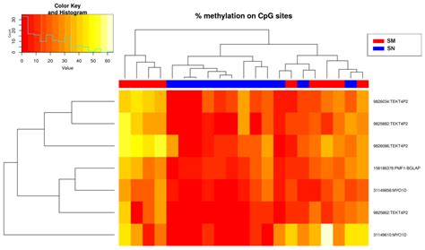 Diagnostic Algorithm To Subclassify Atypical Spitzoid Tumors In Low And High Risk According To