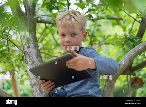 Babe Sitting Tree Branch Hi Res Stock Photography And Images Alamy
