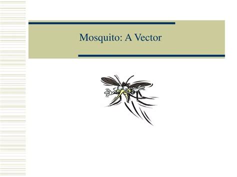 Ppt Mosquito A Vector Powerpoint Presentation Free Download Id 9684949