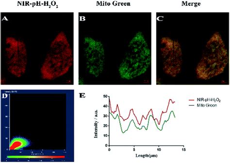 A Mitochondrial Targetable Dual Functional Near Infrared Fluorescent Probe To Monitor Ph And H 2
