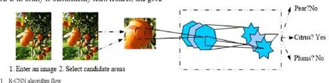 Figure 1 From Design Of A Deep Learning Based General Fruit Recognition Algorithm Semantic Scholar