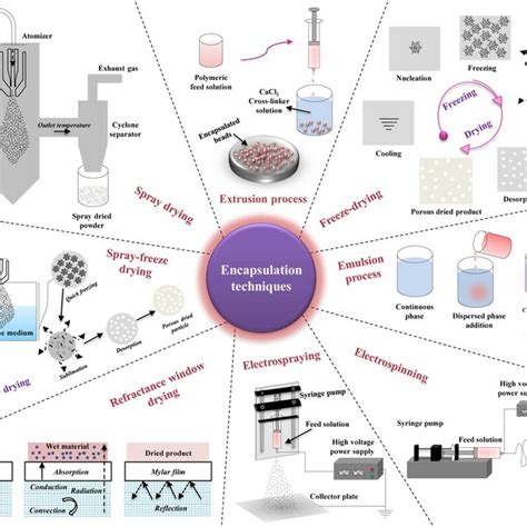 Techniques For The Encapsulation Of Probiotics Download Scientific Diagram