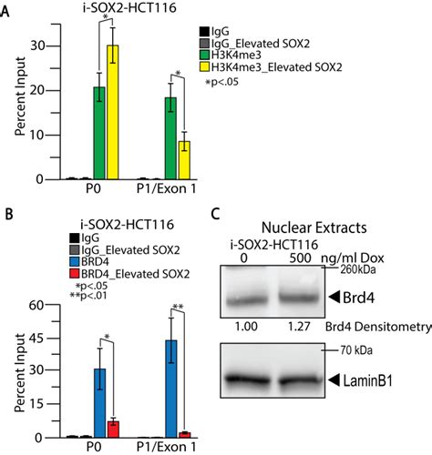 Sox2 Represses C Myc Transcription By Altering The Co Activator