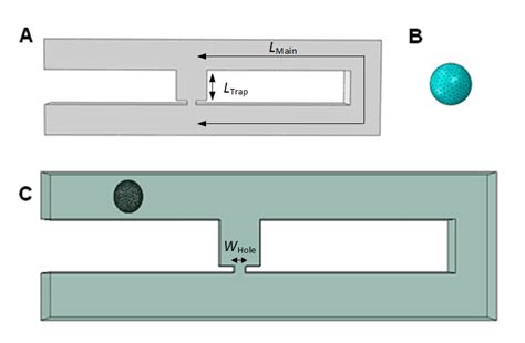 Construction Of The Finite Element Model Of Single Cell Trapping System