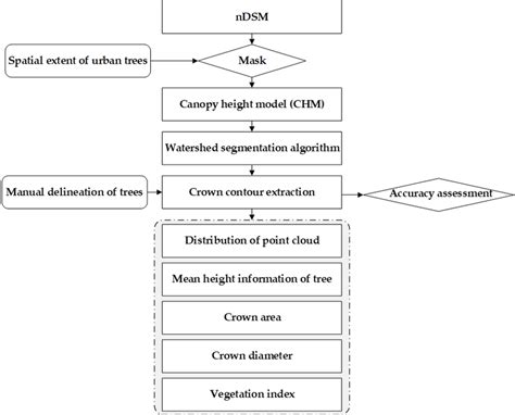 Flowchart Of Individual Tree Segmentation Based On Canopy Height Model Download Scientific