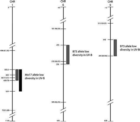 Bacterial Leaf Diversity Quantitative Trait Loci Qtl Locations On Download Scientific Diagram