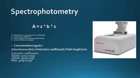 Dna Quantification Techniques At Patrick Gilford Blog