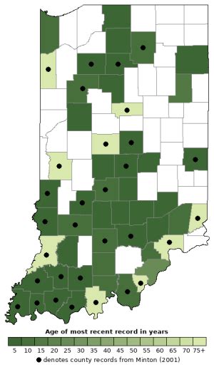 Pond Slider Trachemys Scripta Indiana Herp Atlas