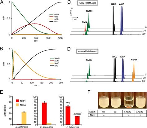 Mathematical Modeling In Vitro Reconstitution And In Vivo Assessment Download Scientific