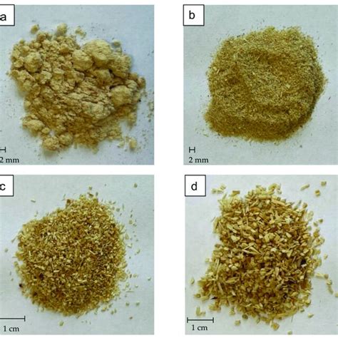 Wood Particle Size Used As A Filler Download Scientific Diagram