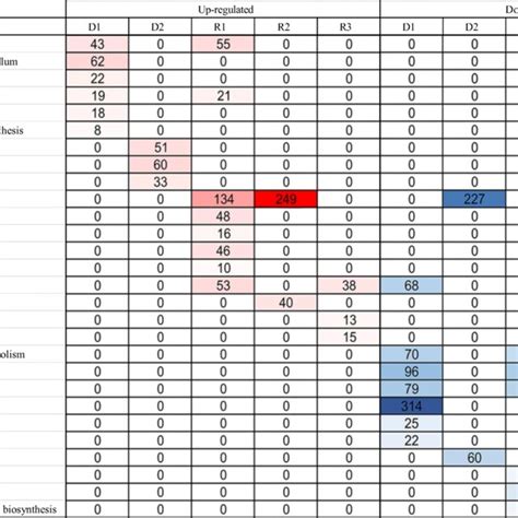 Heatmap Diagram Reflecting The Dynamics Of Enriched Biological Download Scientific Diagram
