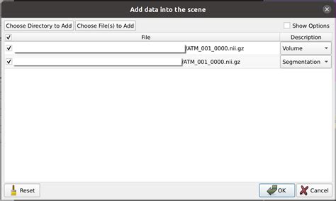 Binary Segmentation Mask To Centerline Polydata Using A Python Script Support 3d Slicer