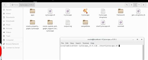 Creating A Property Graph On Oracle Database Vlamis