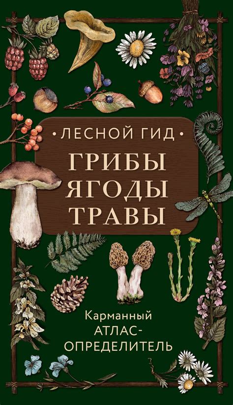 «Лесной гид: грибы, ягоды, травы. Карманный атлас-определитель ...