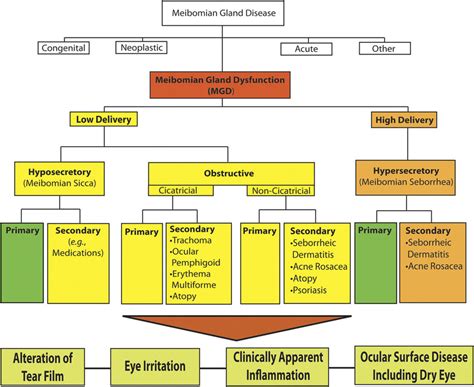 The New Classification System Proposed By The International Workshop On