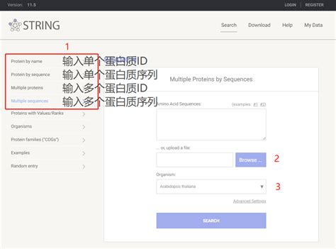 String数据库蛋白质互作网络分析 知乎