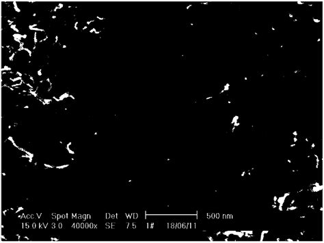 Catalyst Used For Alkene Polymerization Reaction Preparation Method And Composite Catalyst