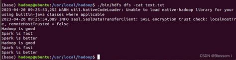 大数据编程实验二：熟悉常用的hdfs操作 Csdn博客