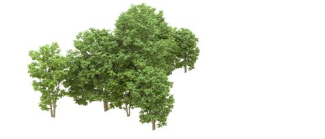 Isometric Tree Pngs For Free Download