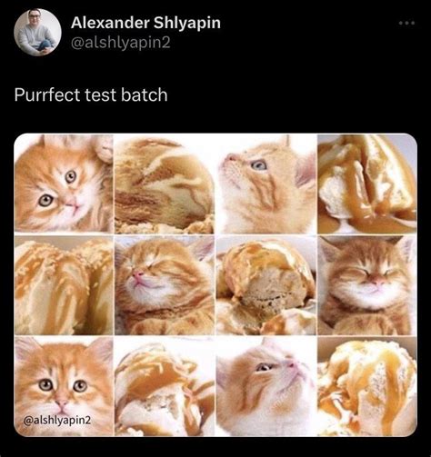 Data Science Memes