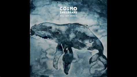 Cosmo Sheldrake Bodies Of Water Chords Chordify