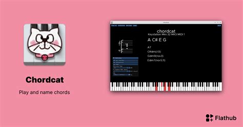 Install Chordcat on Linux | Flathub