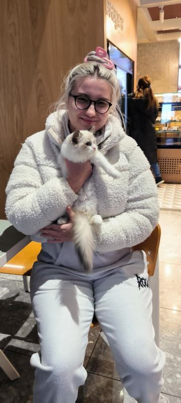 Inessa в новом доме 珞 Elviussdoll питомник кошек породы рэгдолл ВКонтакте