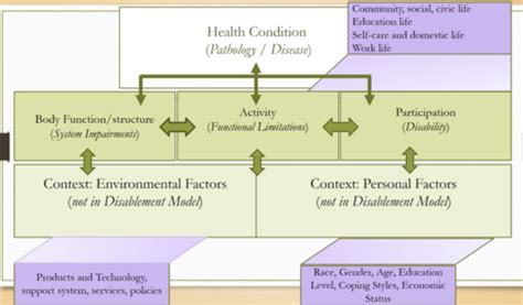 Documenting Reason For Referral Flashcards Quizlet